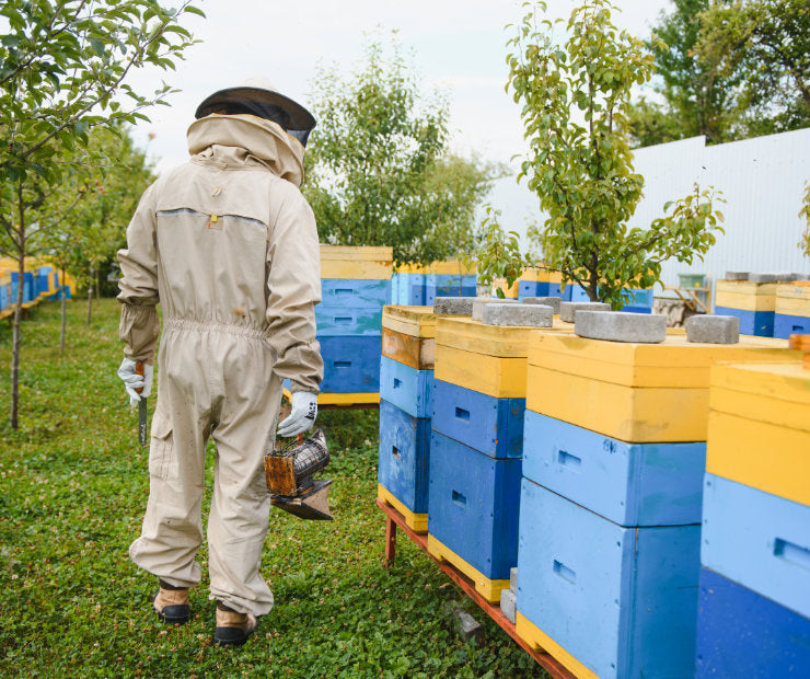 Premier Miel - 100% Pur, Cru, du Québec et produits de la ruche